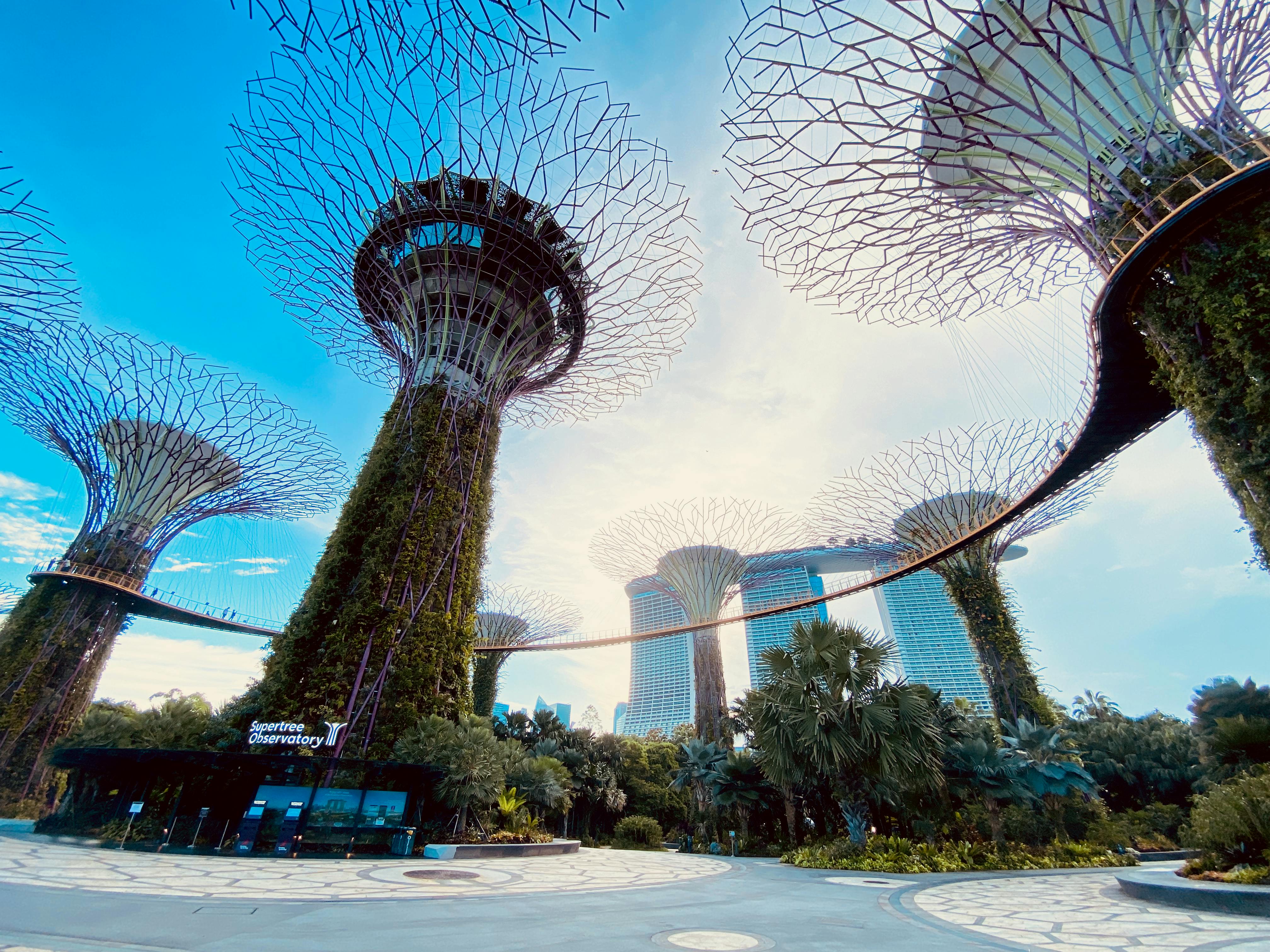 FusionX | Connecting capital & opportunity in fusion